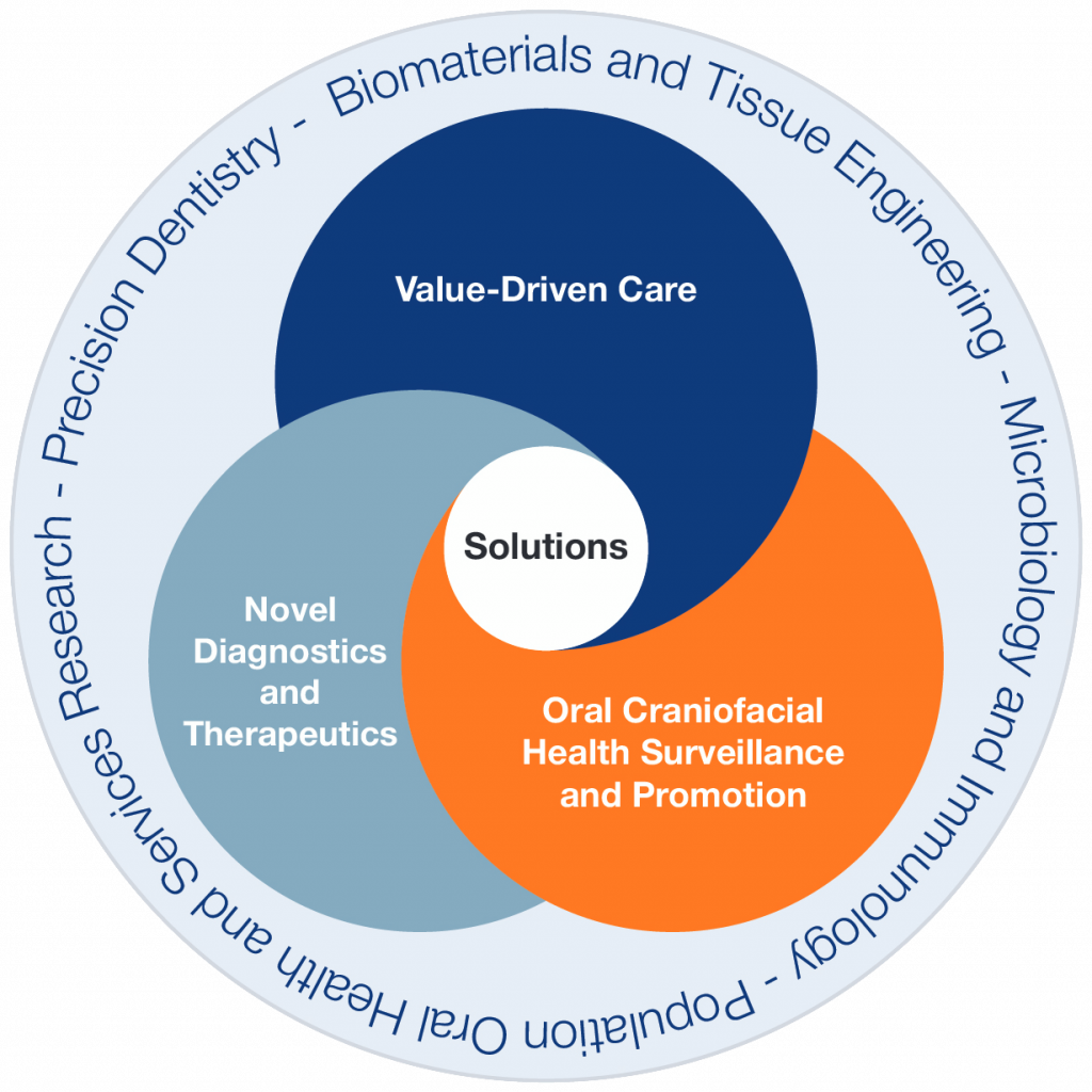 Beyond Root Length: New Research Reveals Crucial Insight for Long-Term ...